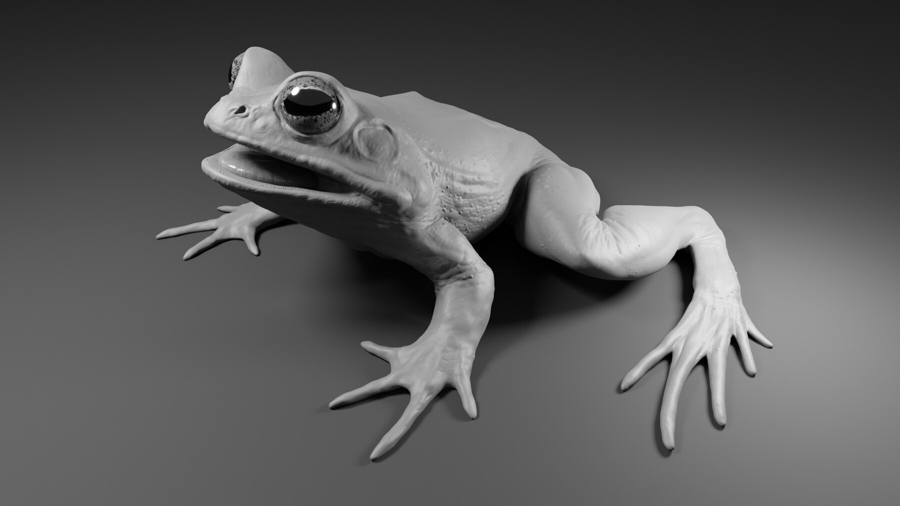 ArtStation - Frog basemesh | Resources