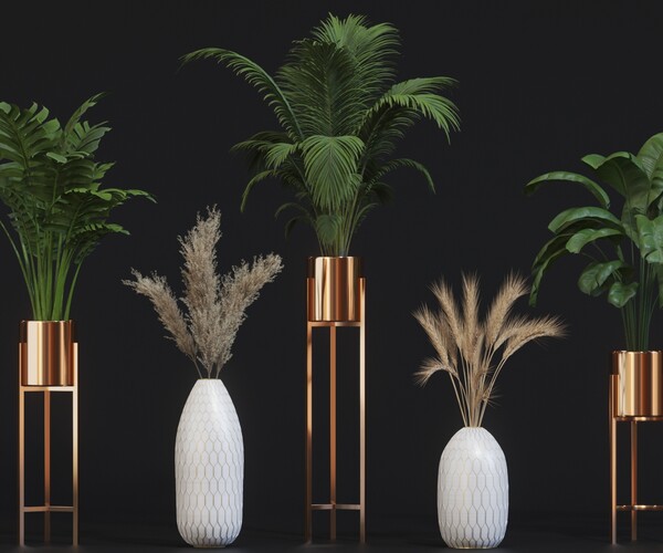 ArtStation - Indoor Plant collection vol_01 | Resources