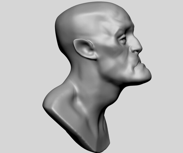ArtStation - Stylized Head | Resources