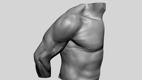 ArtStation - Shoulder Printable | Resources