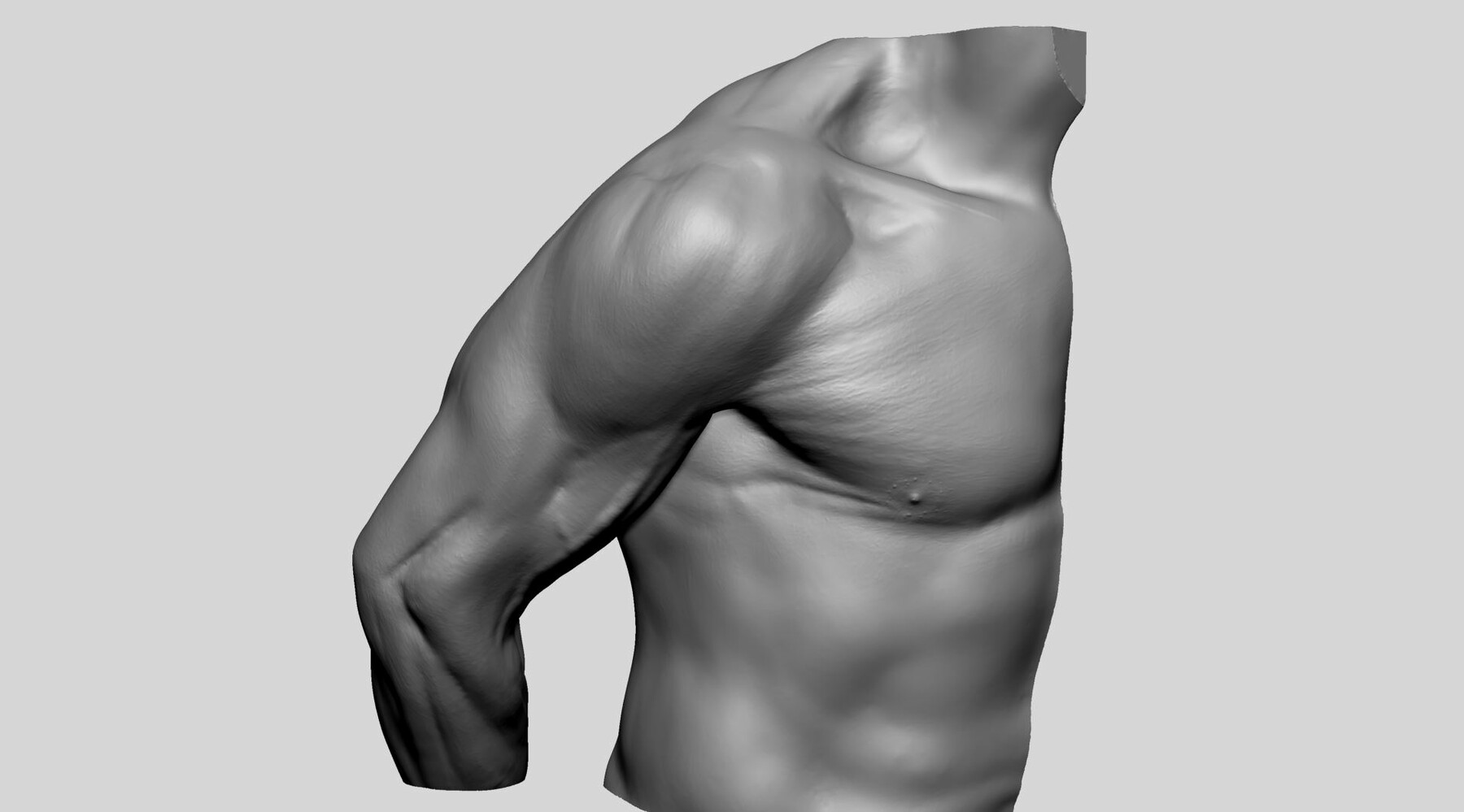 ArtStation - Shoulder Printable | Resources