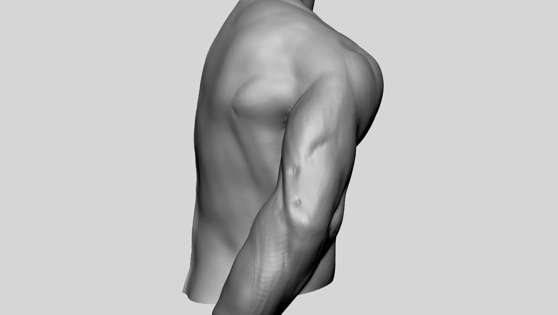 ArtStation - Shoulder Printable | Resources