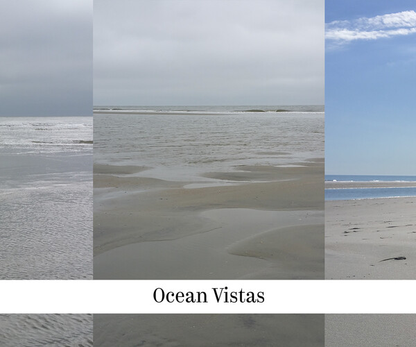 ArtStation - Atlantic Beach - Photo Reference Pack | Resources