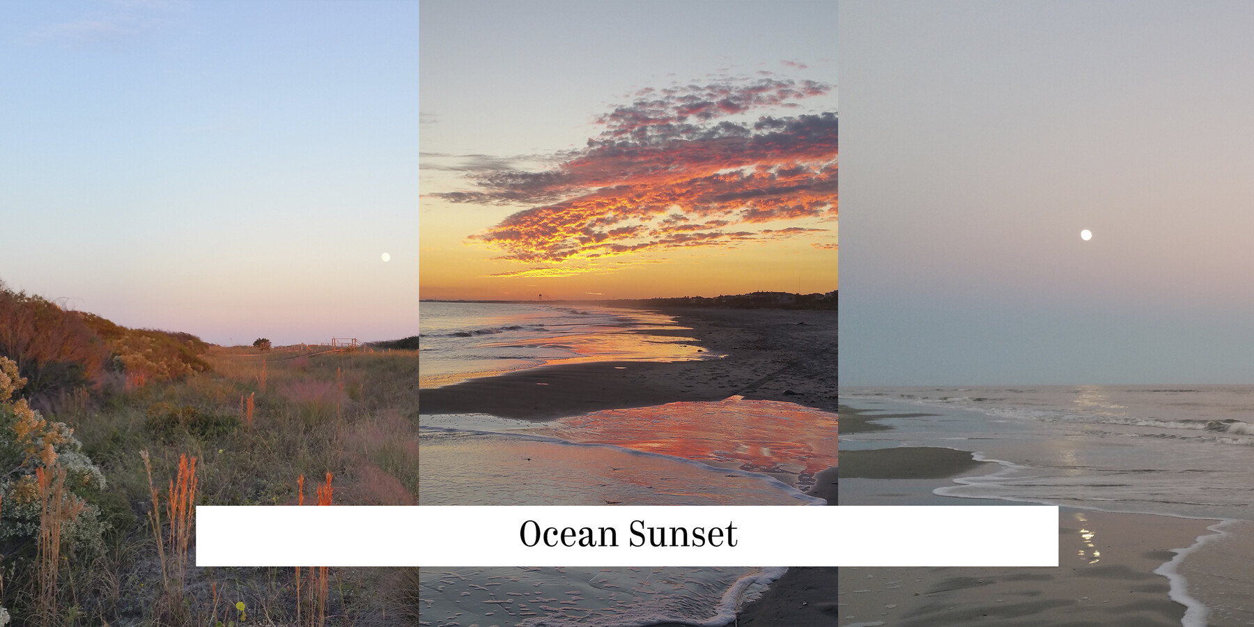 ArtStation - Atlantic Beach - Photo Reference Pack | Resources