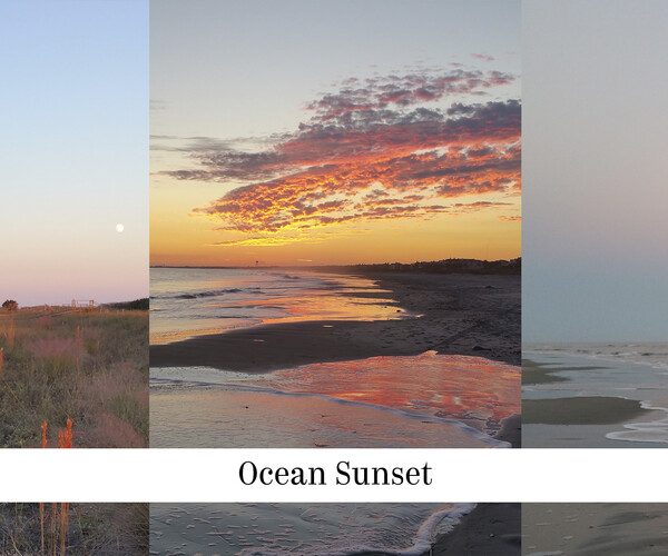 ArtStation - Atlantic Beach - Photo Reference Pack | Resources