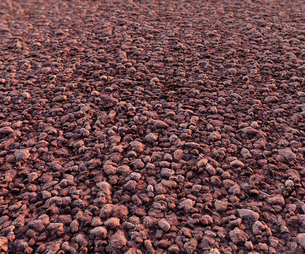 ArtStation - PBR - RED GRAVEL , PEBBLES, SOIL, GROUND - 4K MATERIAL ...