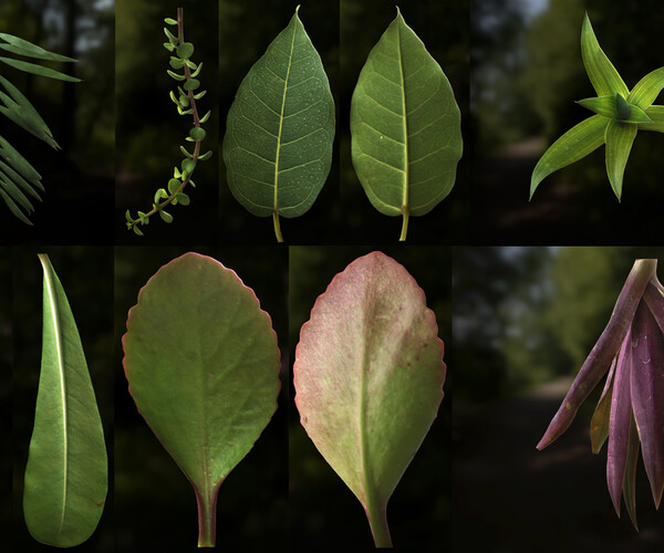 ArtStation - Leaf Pack- PBR Texture with Alpha Map - Vol.1 | Resources