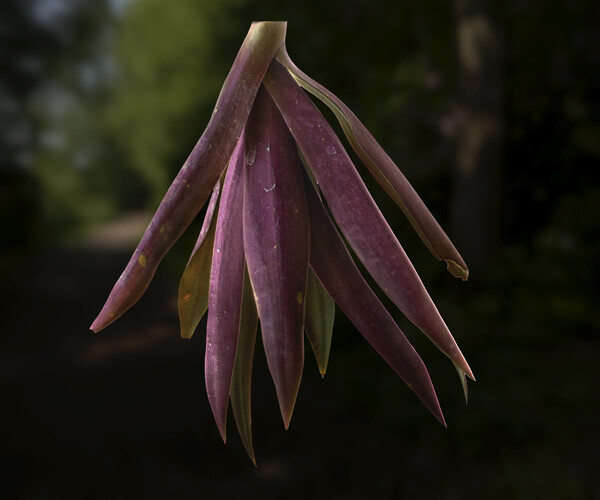 ArtStation - Leaf Pack- PBR Texture with Alpha Map - Vol.1 | Resources