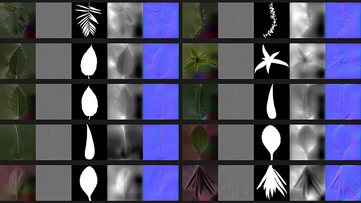 ArtStation - Leaf Pack- PBR Texture with Alpha Map - Vol.1 | Resources