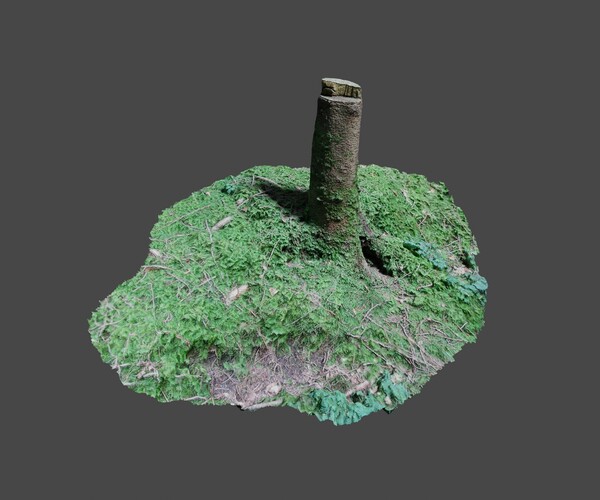 ArtStation - Tree Stump 1 | Game Assets