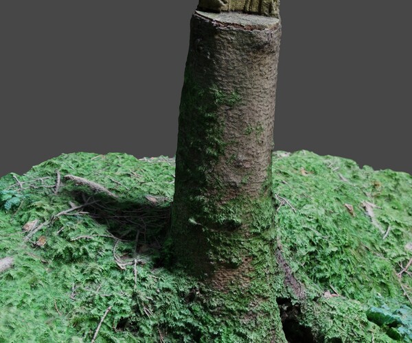 ArtStation - Tree Stump 1 | Game Assets