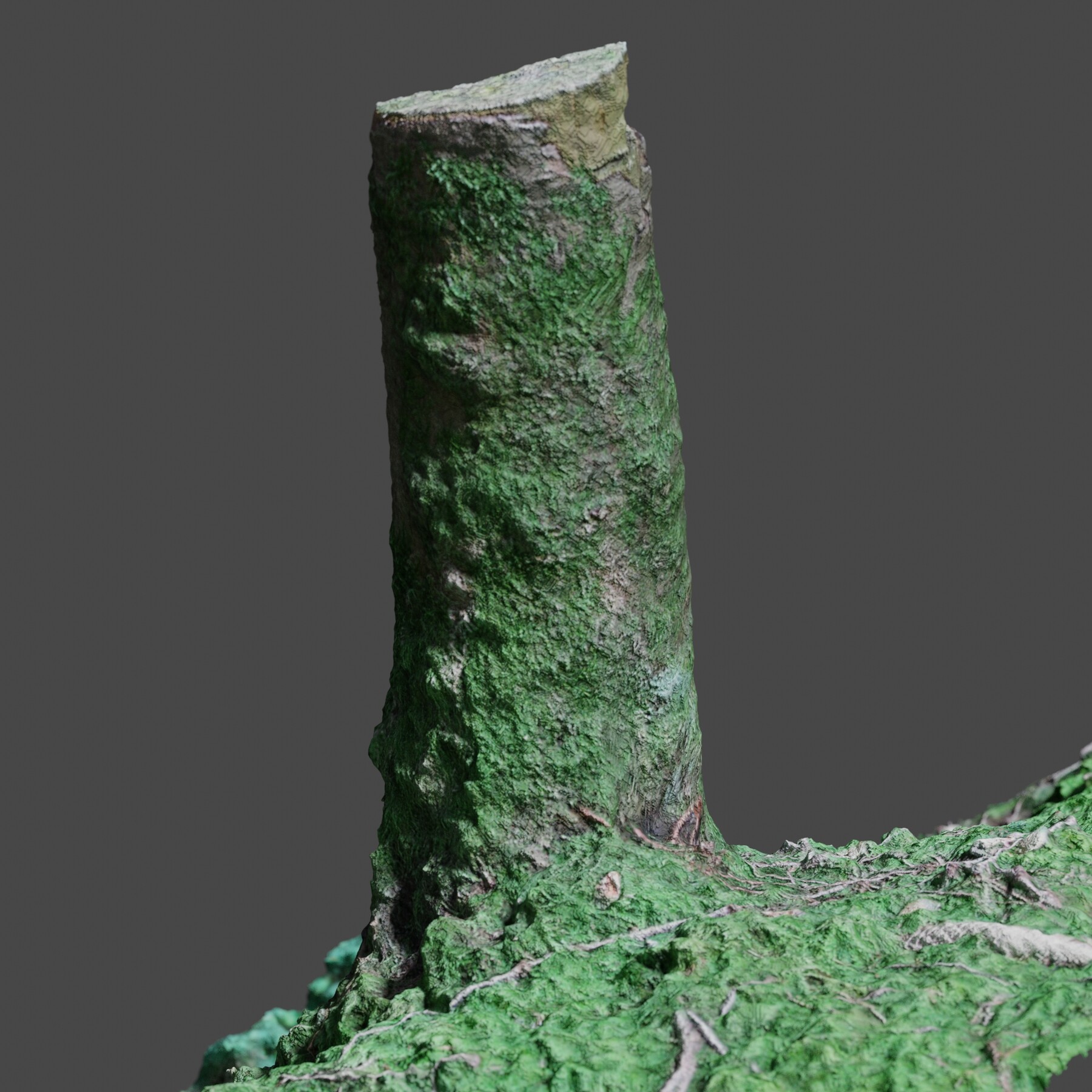 ArtStation - Tree Stump 1 | Game Assets