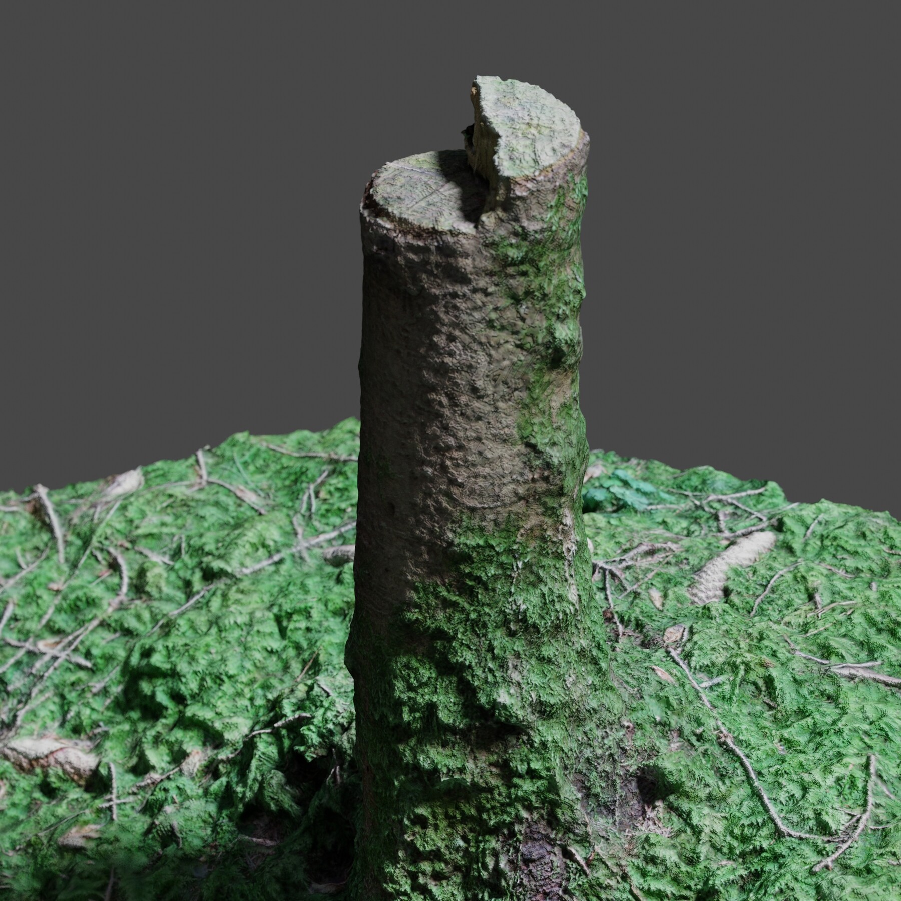 ArtStation - Tree Stump 1 | Game Assets