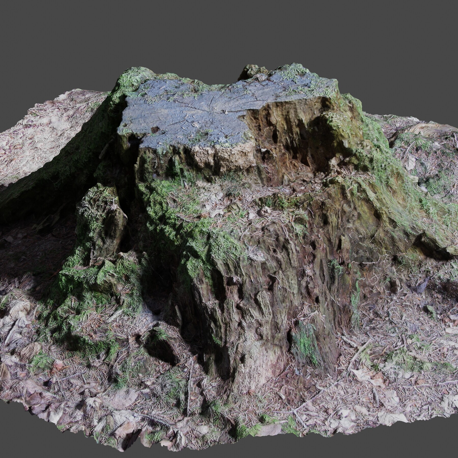 ArtStation - Tree Stump 2 - Photoscan | Game Assets