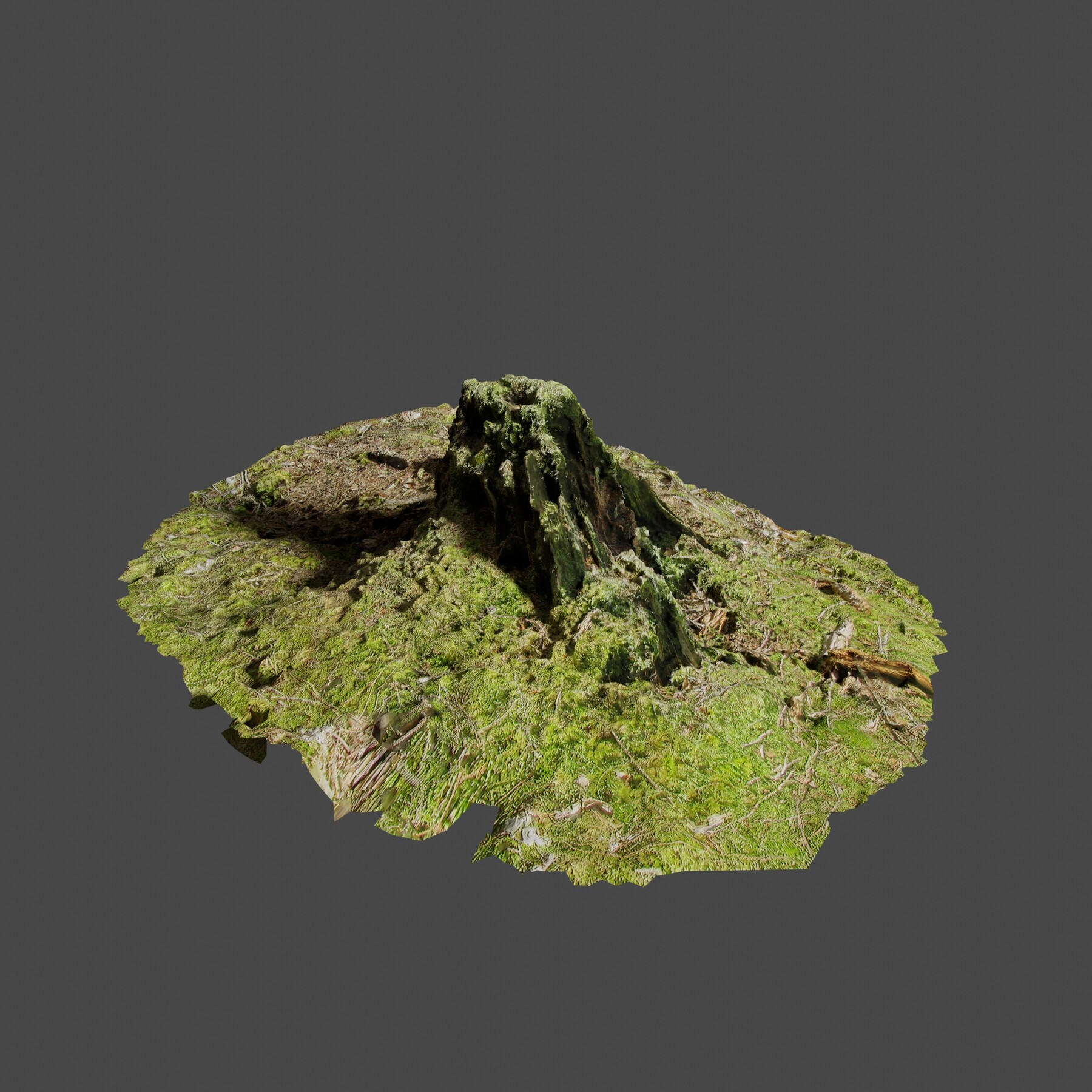 ArtStation - Tree Stump 3 - Photoscan | Game Assets