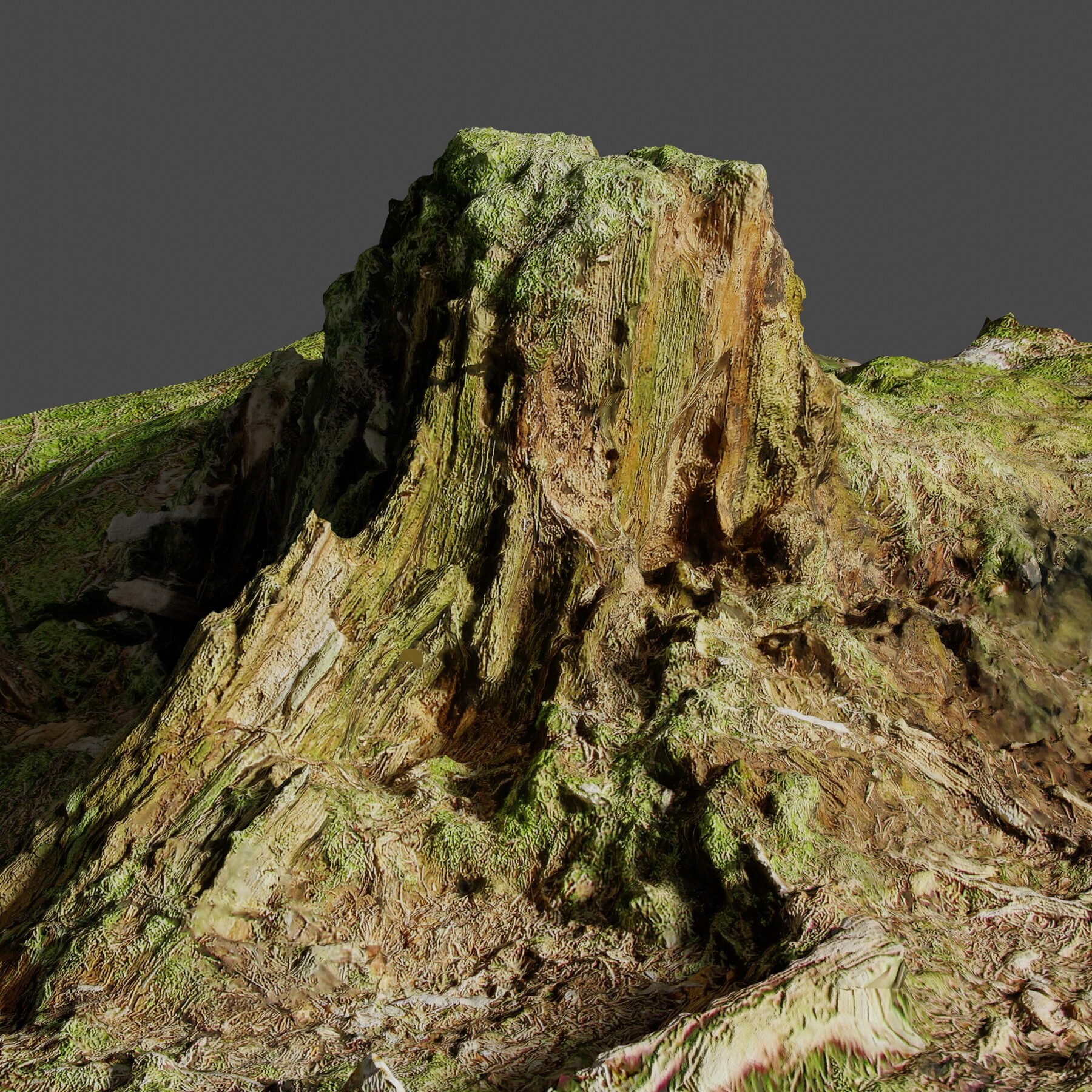ArtStation - Tree Stump 3 - Photoscan | Game Assets