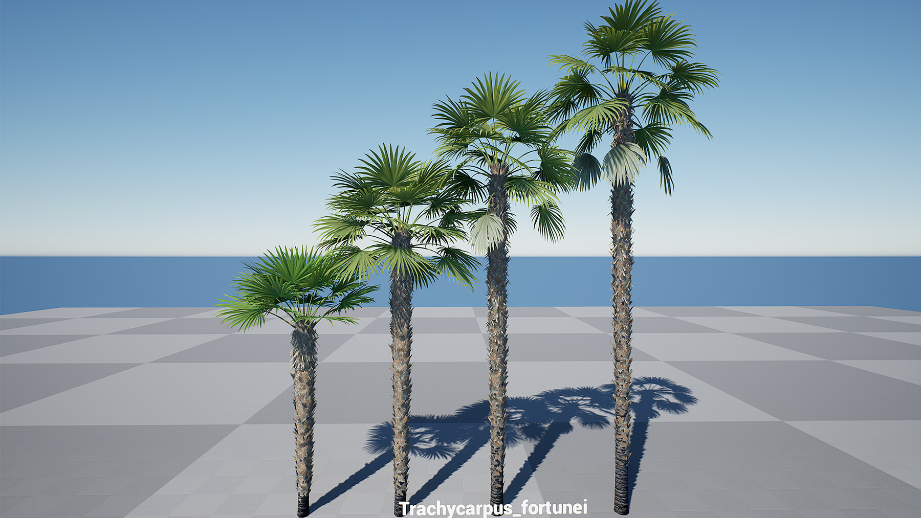 ArtStation - HQ Plants Volume 3 Palms for unreal engine 3D model set of ...