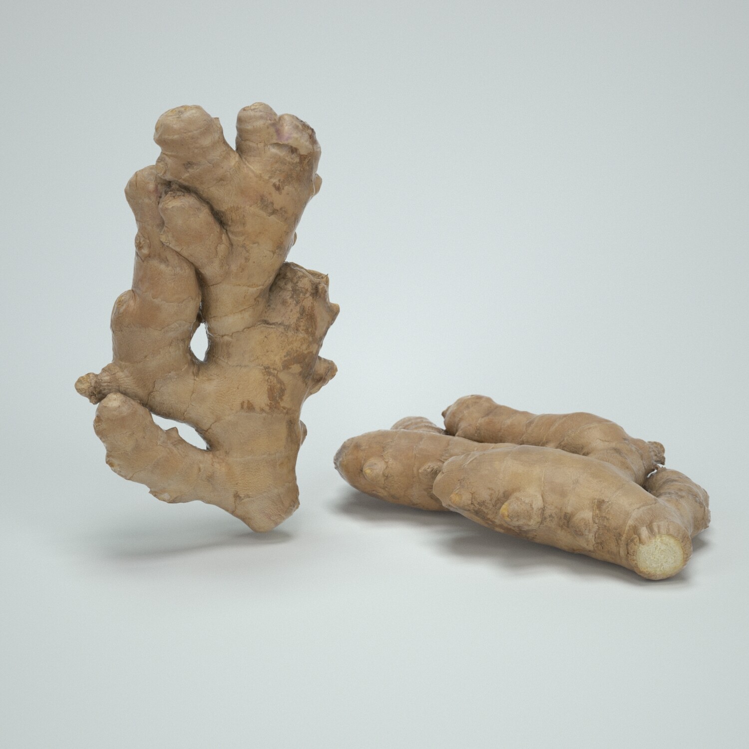 ArtStation - Ginger | Resources