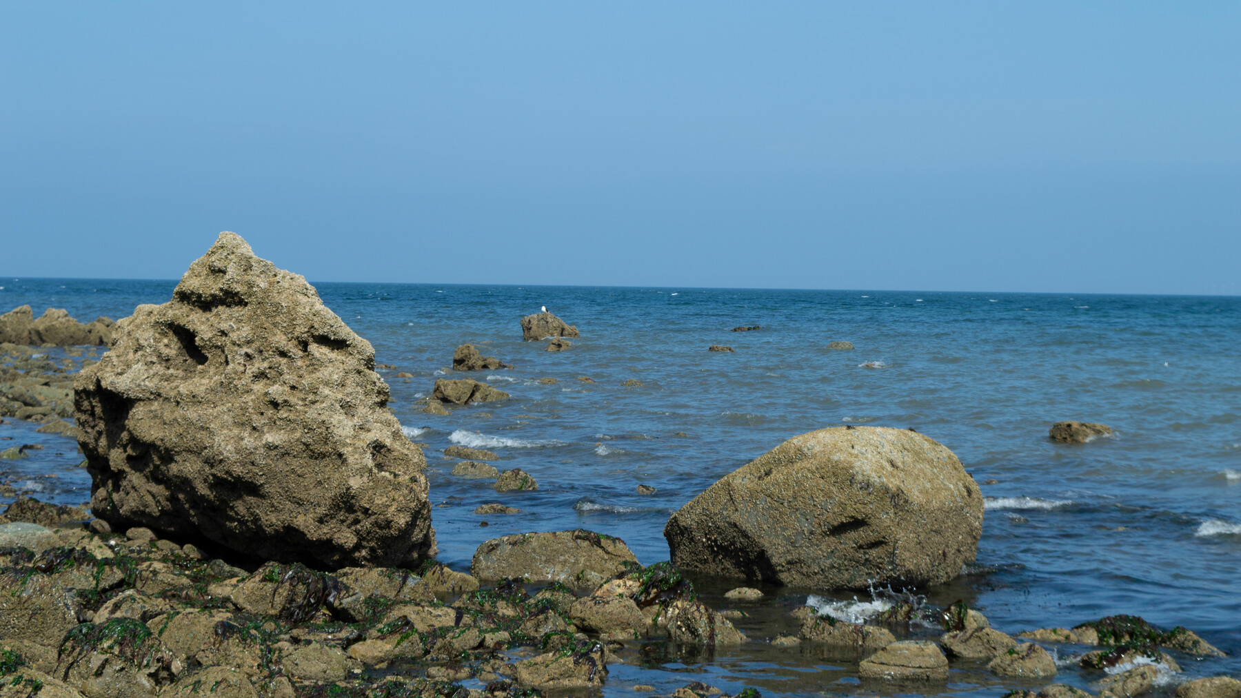 ArtStation - Coastal Reference Pack | Resources