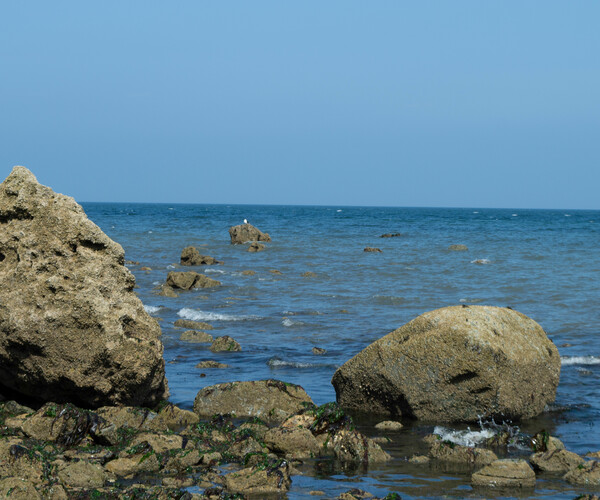 ArtStation - Coastal Reference Pack | Resources