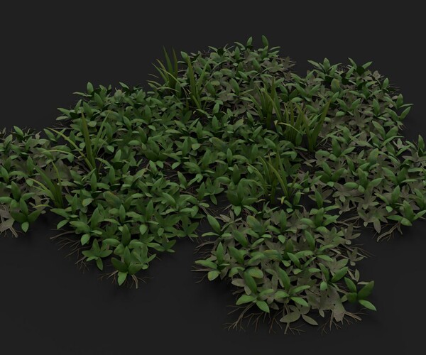 ArtStation - Tropical Ground Foliage | Resources