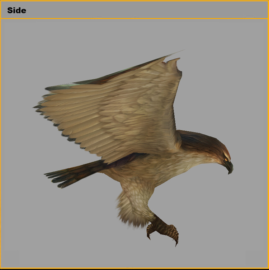 ArtStation - Low poly 3D Monster - Hawk | Game Assets