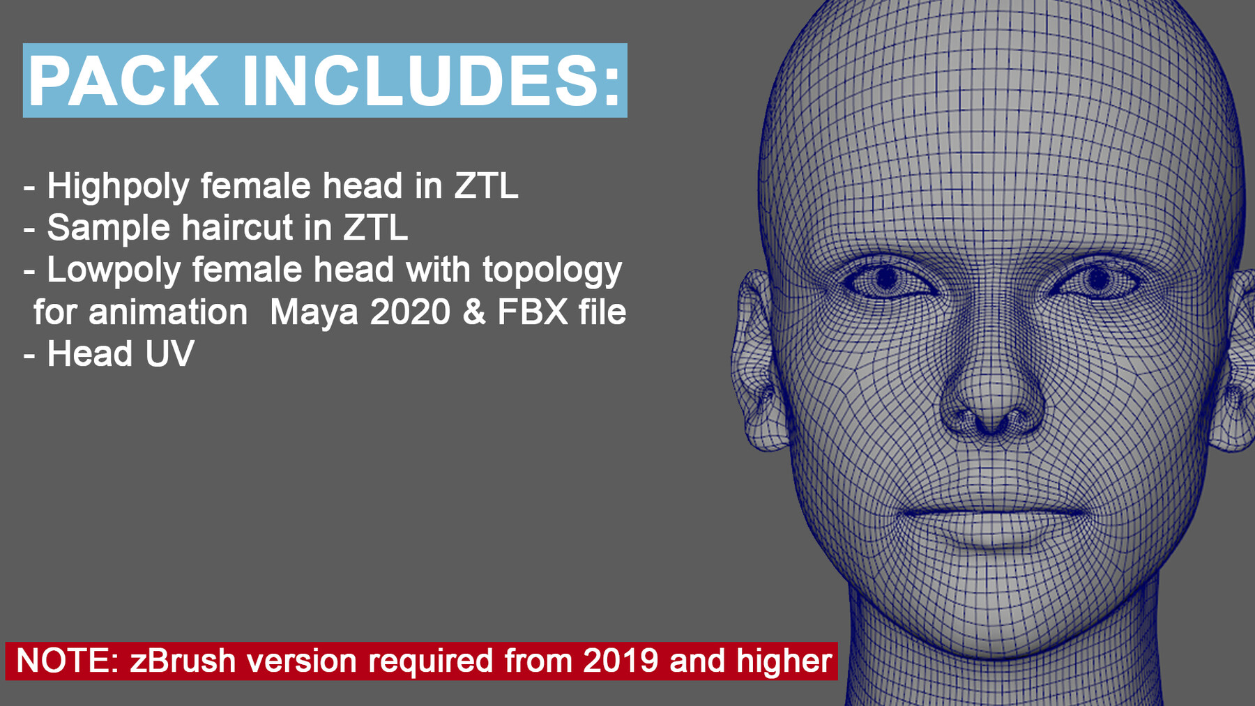 ArtStation - Realistic Female Head Highpoly & Lowpoly (topology for ...