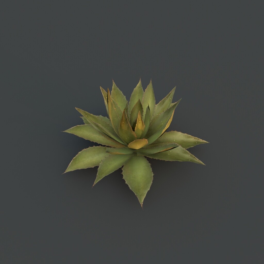 ArtStation - Agave | Game Assets