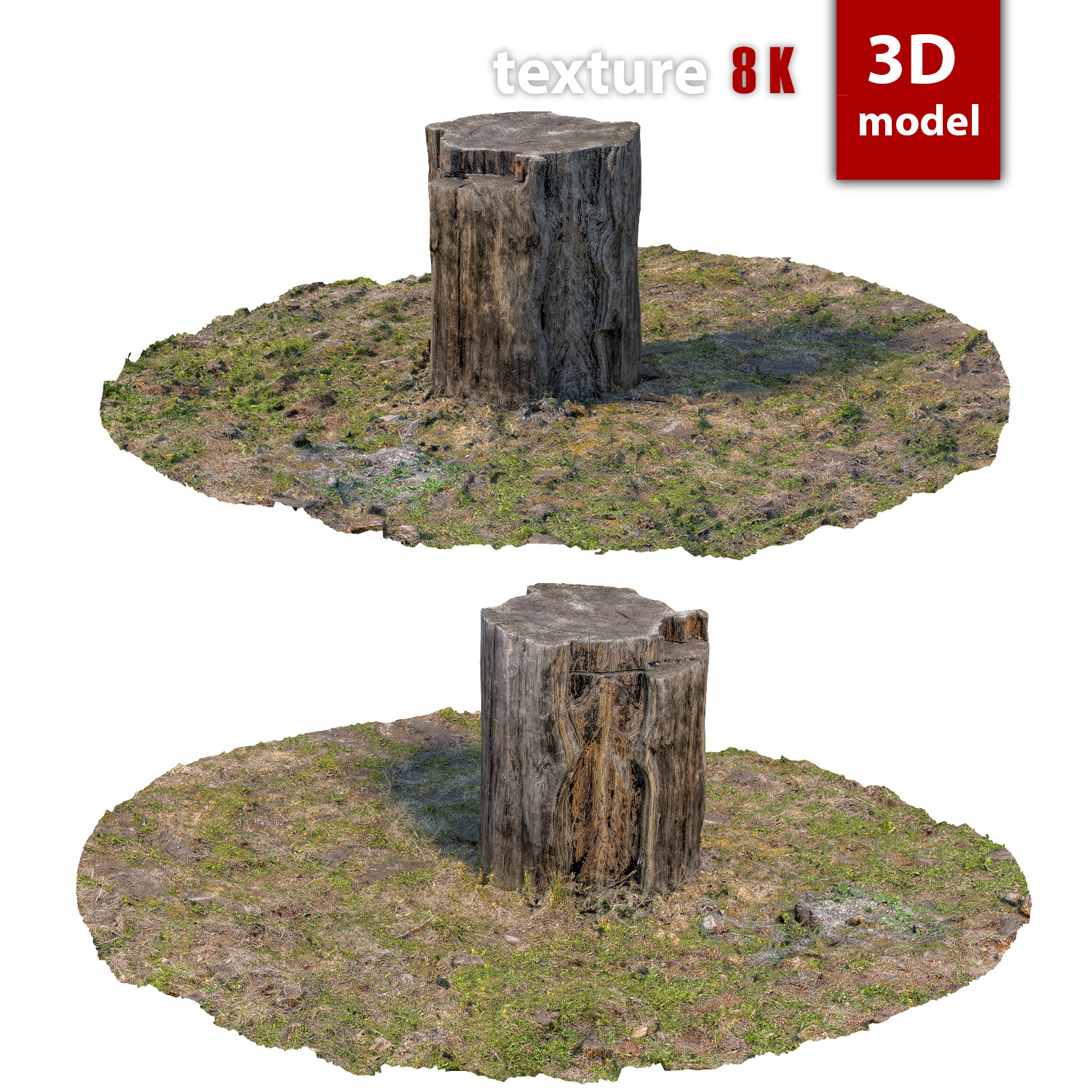ArtStation - 349 Stump | Resources