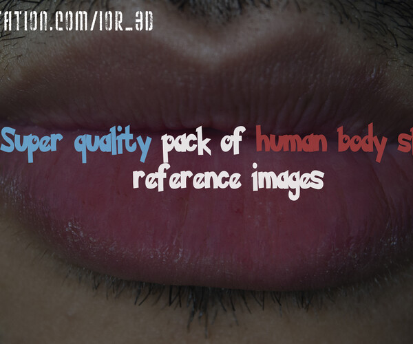 ArtStation - Super quality pack of human body skin reference images ...