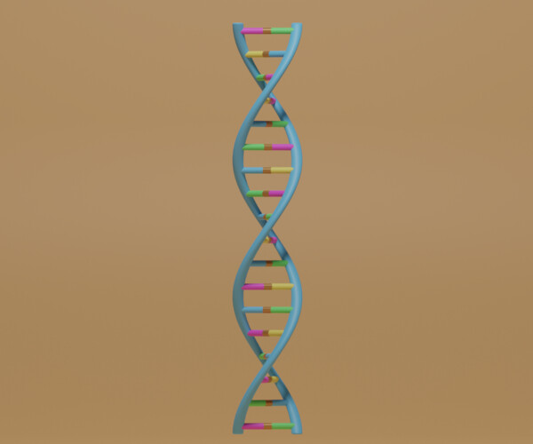 ArtStation - Cartoon DNA 3D Model | Resources
