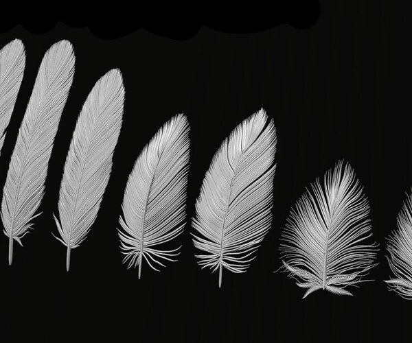 ArtStation - Red-Tailed Hawk Feathers IMM | Brushes