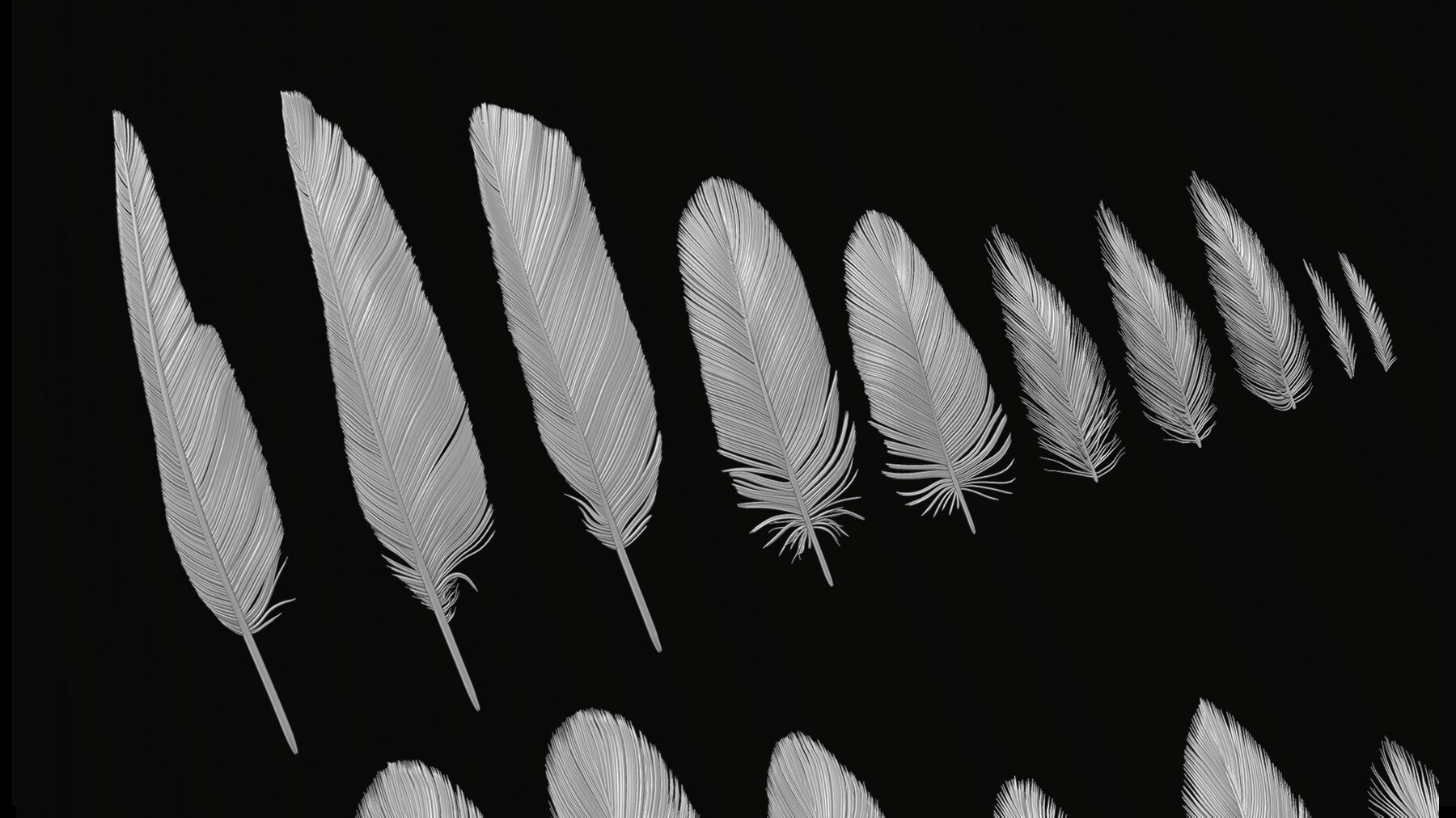 ArtStation - Red-Tailed Hawk Feathers IMM | Brushes
