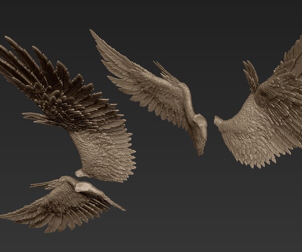 ArtStation - Wings Sculpt 2 | Resources