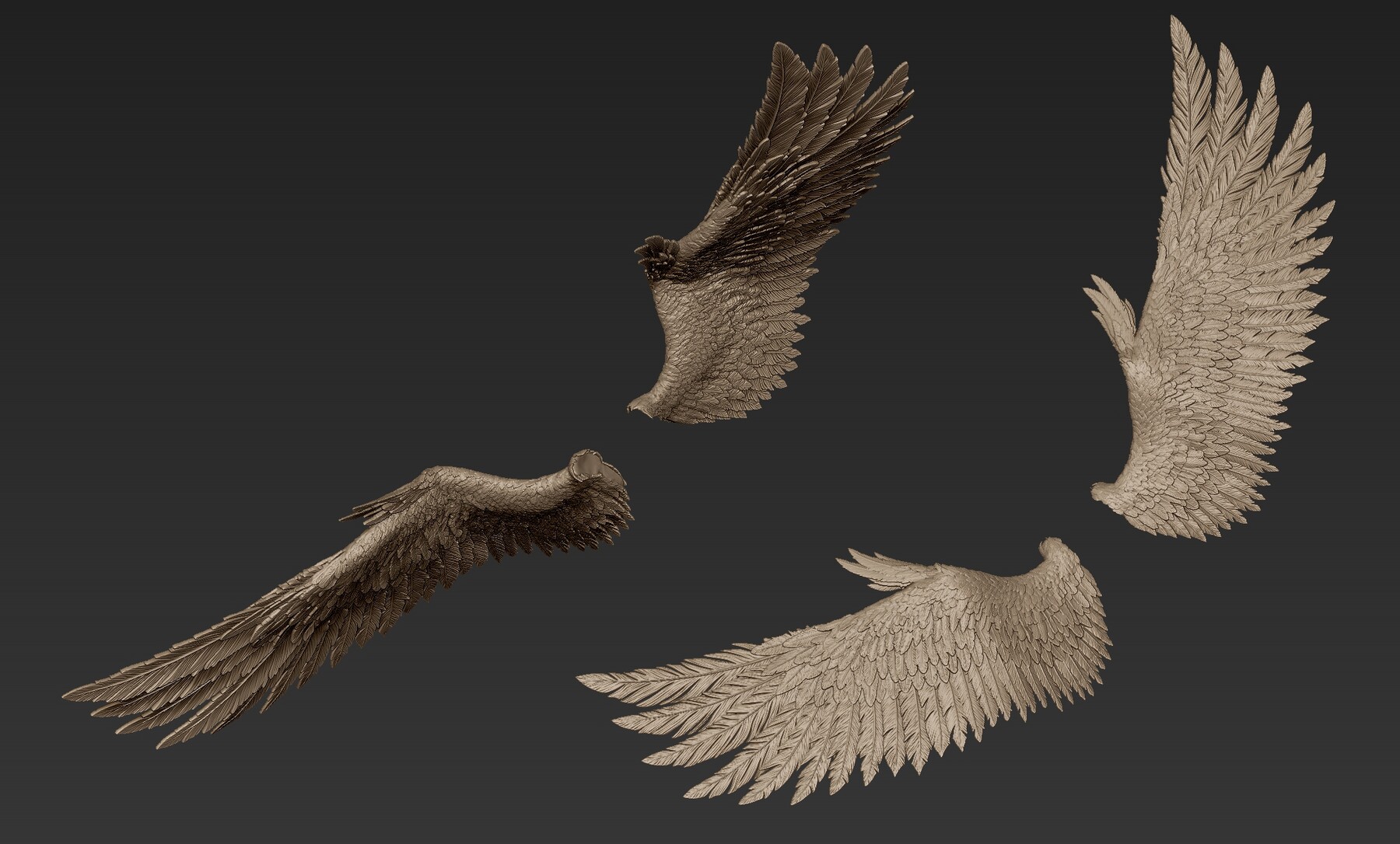 ArtStation - Wings Sculpt 2 | Resources