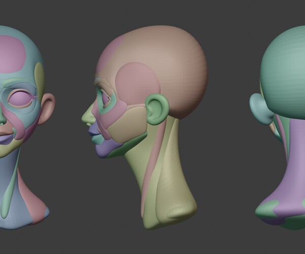 ArtStation - Stylized Head *Anatomy | Resources