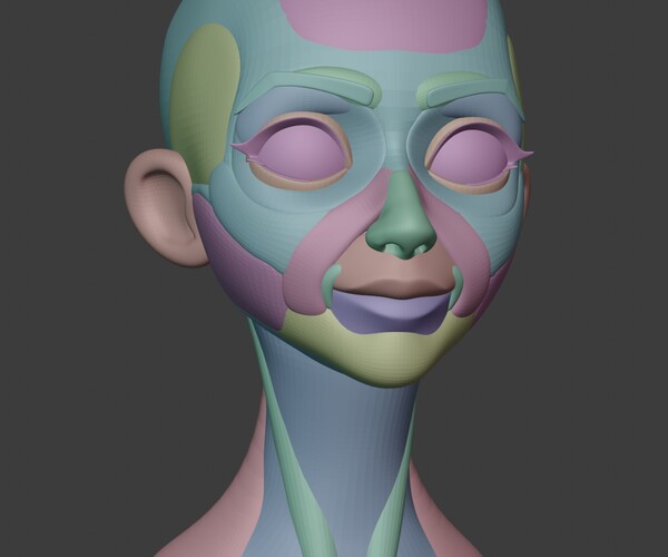 ArtStation - Stylized Head *Anatomy | Resources