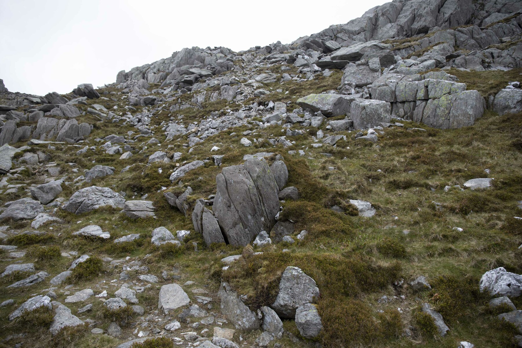 ArtStation - ROCK PACK | Resources