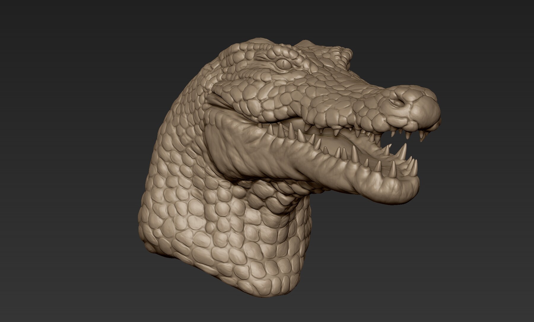 ArtStation - Crocodile Humanoid Head | Resources