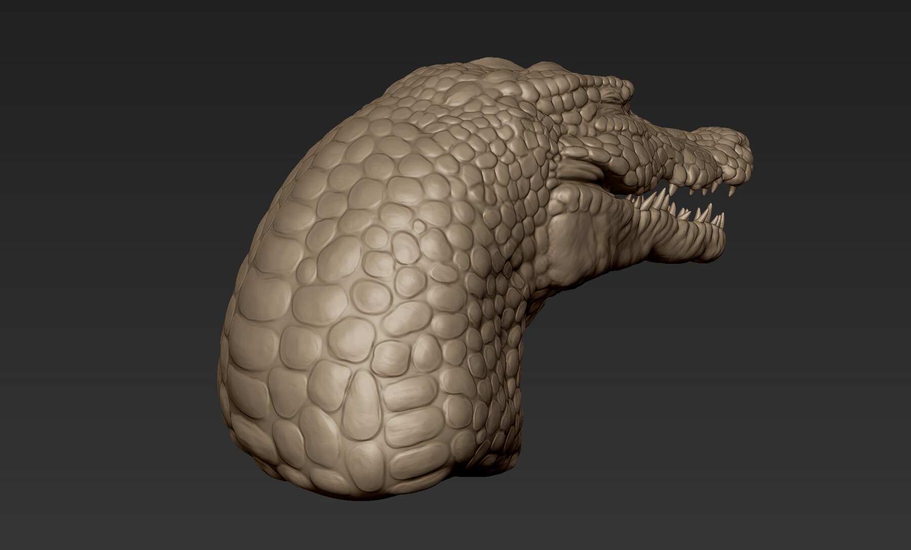 ArtStation - Crocodile Humanoid Head | Resources
