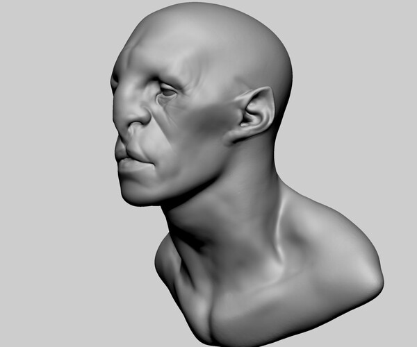 ArtStation - Creature Head 09 | Resources