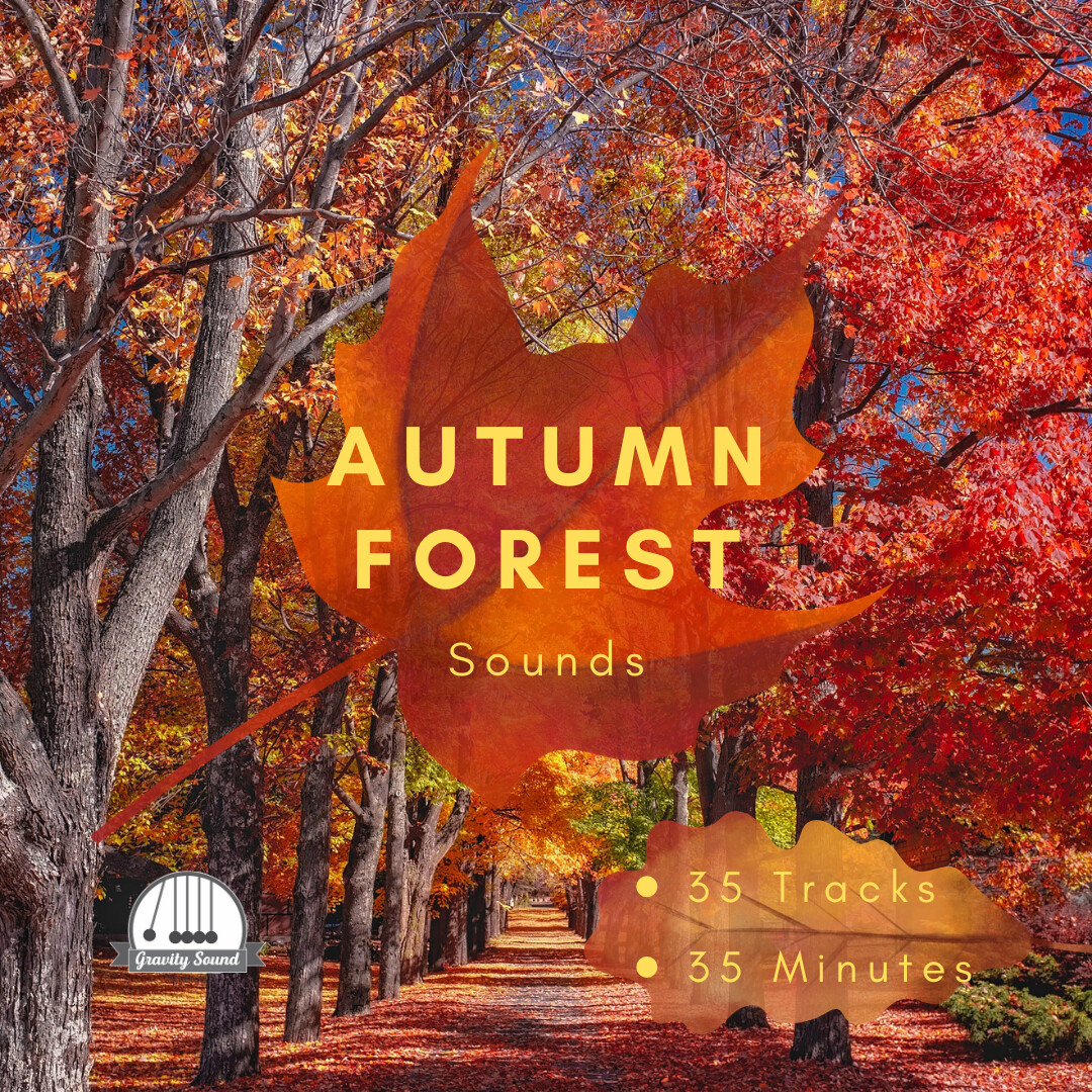 ArtStation - Autumn Forest Sounds | Game Assets