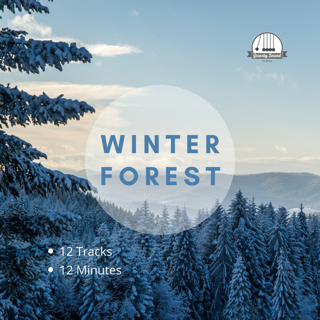 ArtStation - Winter Forest Sounds | Game Assets