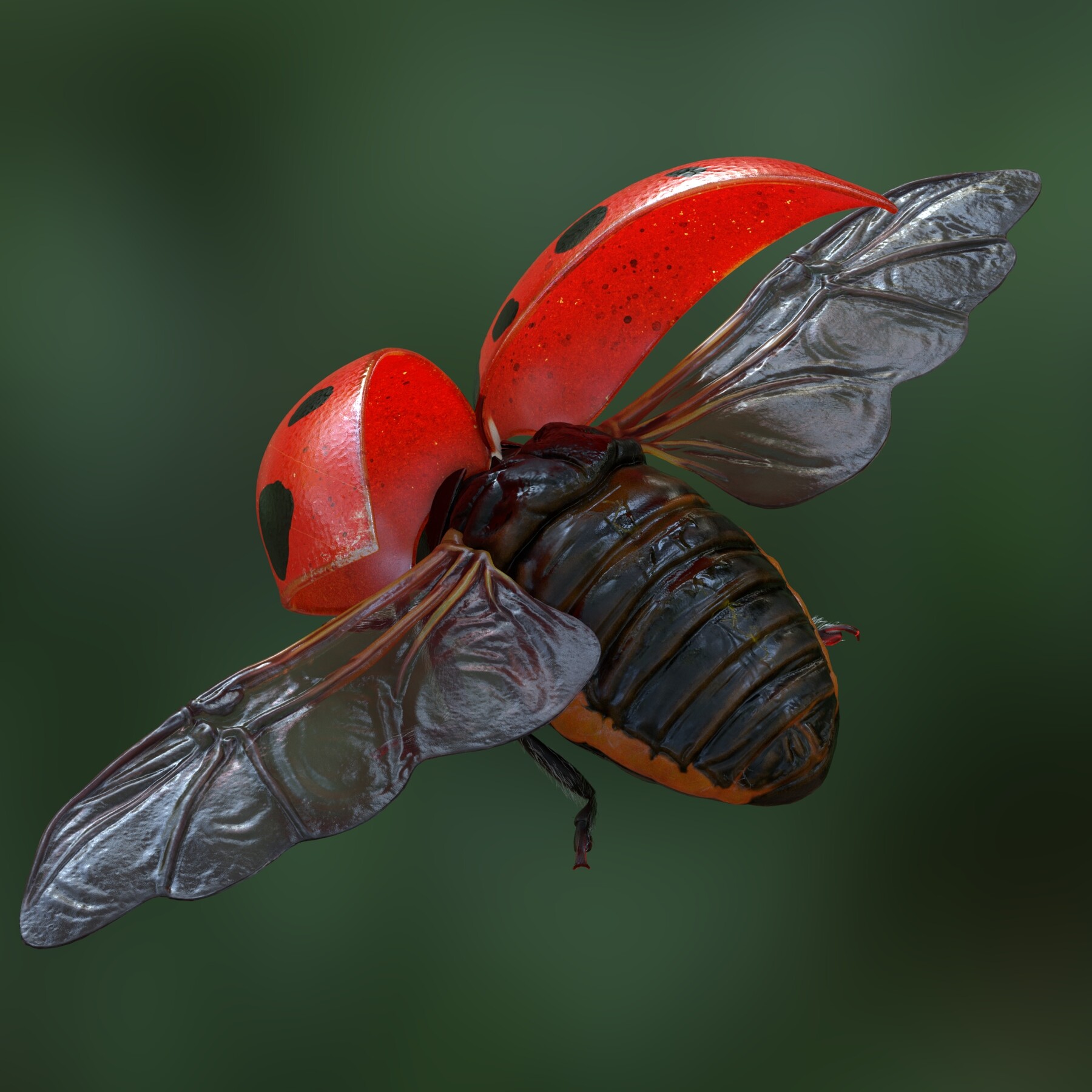 ArtStation - Hyper Realistic Ladybug Rig | Resources