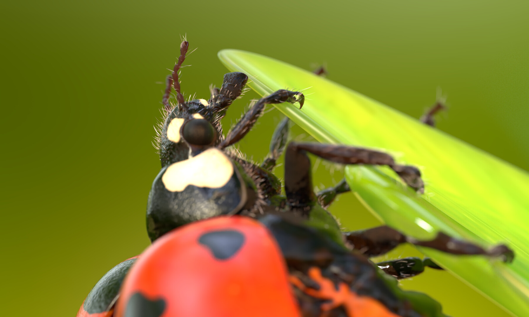 ArtStation - Hyper Realistic Ladybug Rig | Resources