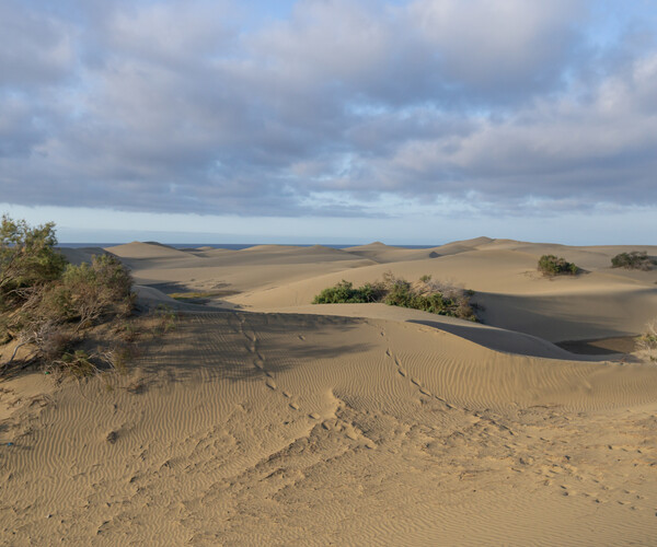 ArtStation - DESERT environment - 365 HIGH QUALITY photos, different ...