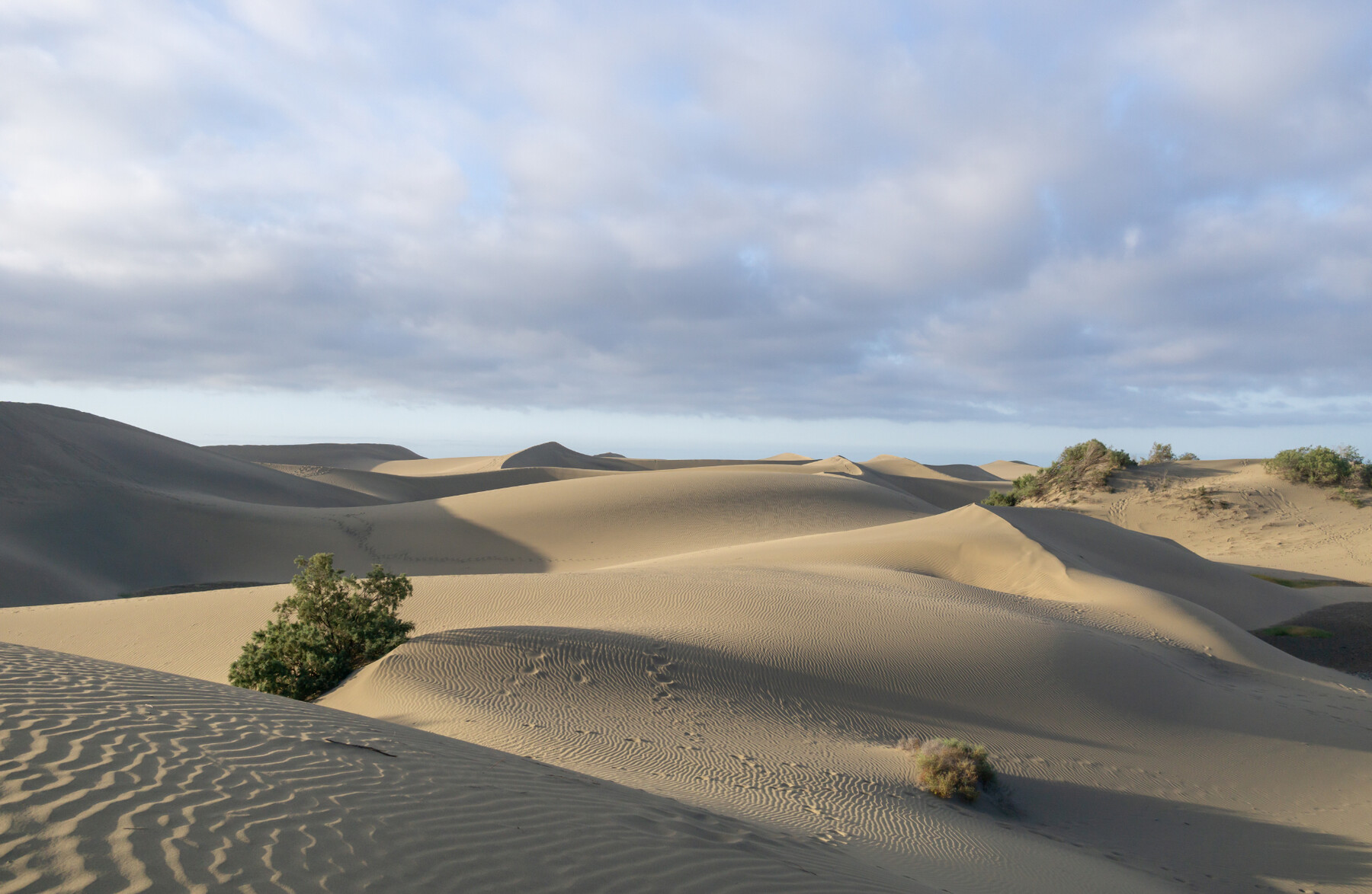 ArtStation - DESERT environment - 365 HIGH QUALITY photos, different ...