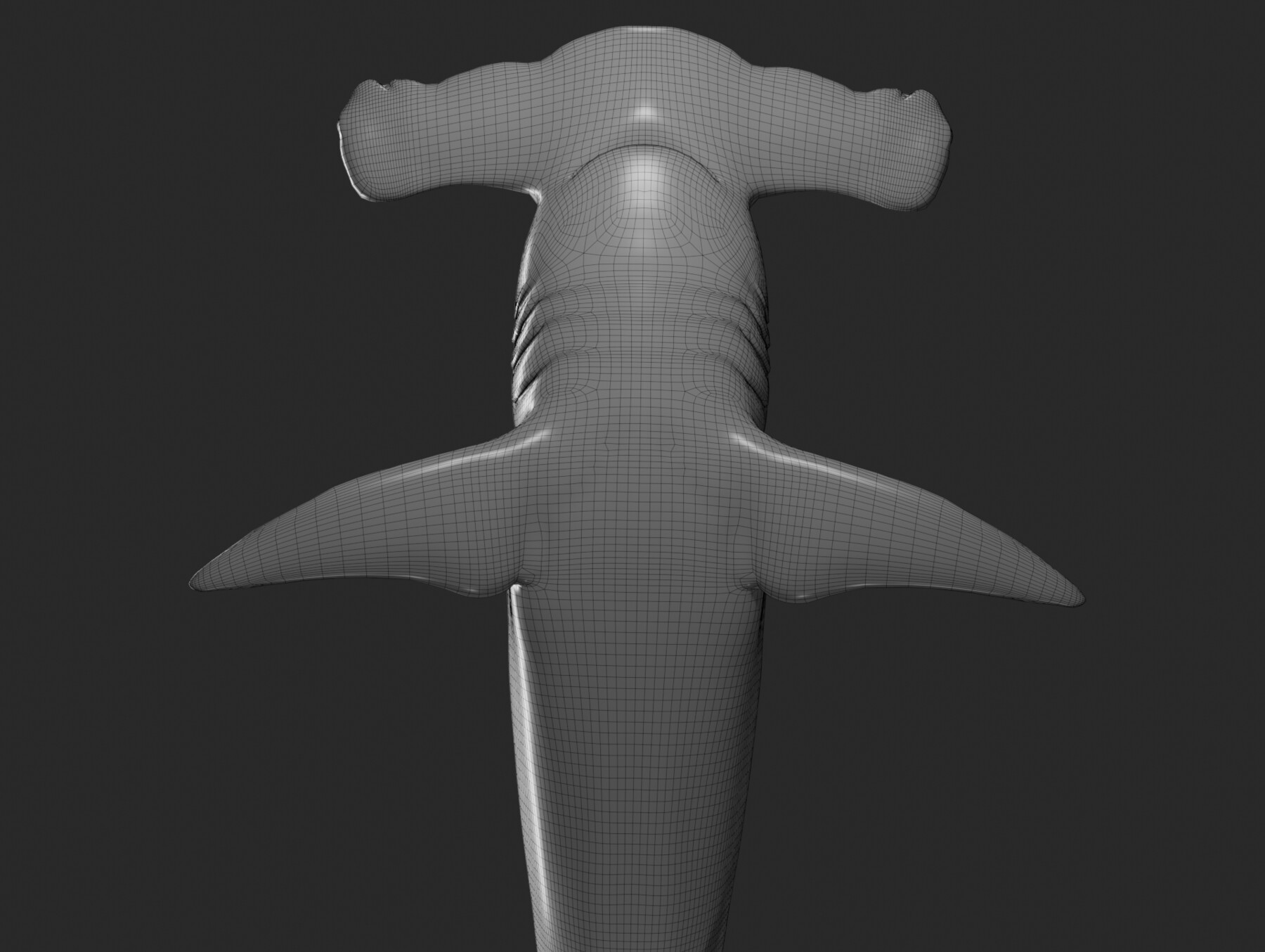 ArtStation - hammerhead shark basemesh obj | Resources