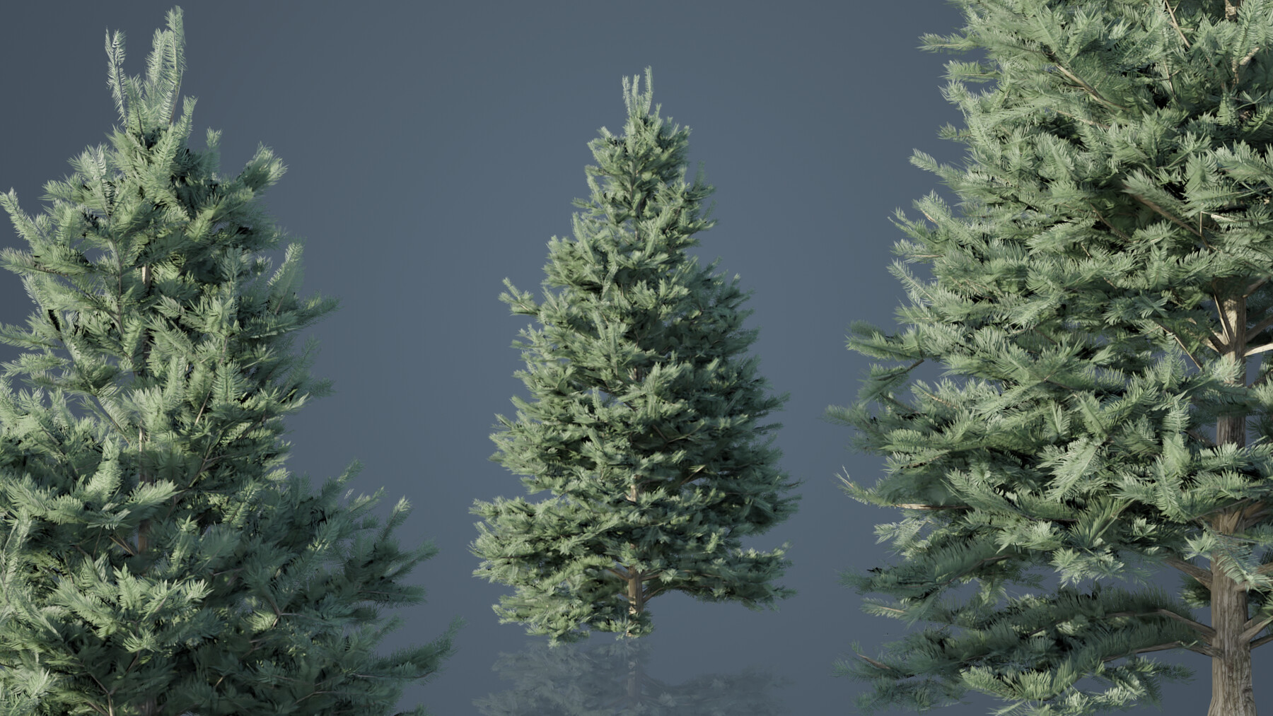 ArtStation - White Fir Trees | Game Assets