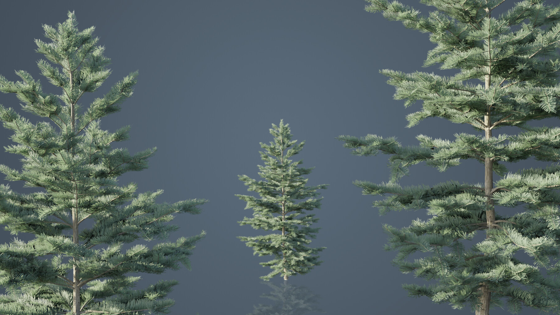 ArtStation - White Fir Trees | Game Assets